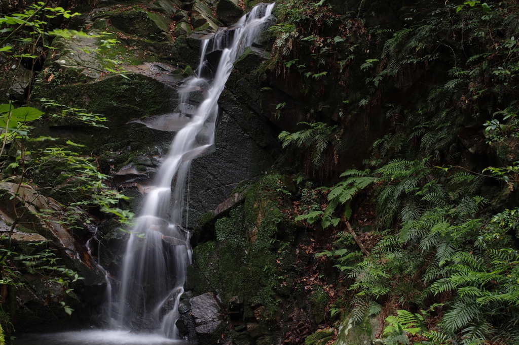 鶯の滝 Ⅲ by 鹿丸 ID3534996 写真共有サイト PHOTOHITO
