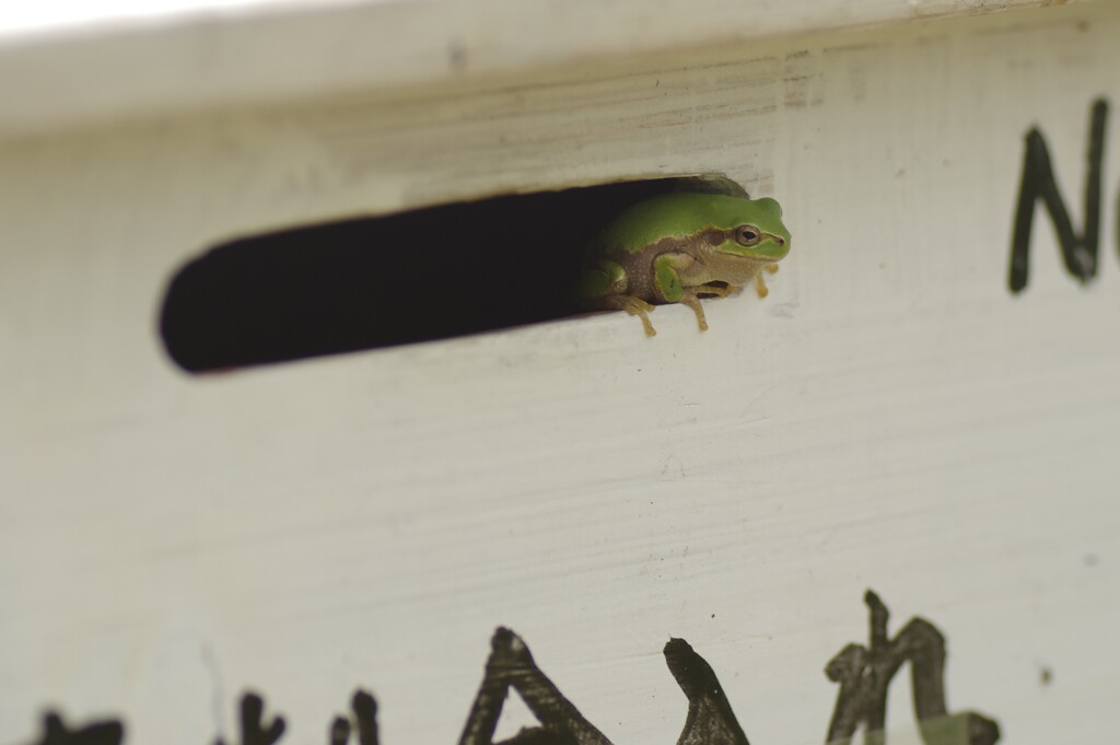 僕が守る By たも爺 (id:11313193) 写真共有サイトphotohito