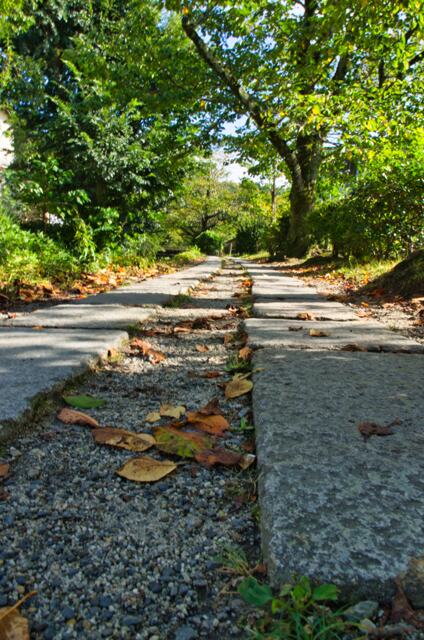 TAMRON(タムロン)のレンズ SP AF17-50mm F/2.8 XR Di II VC LD Aspherical [IF] (Model B005NII) (ニコン用) で撮影した ...