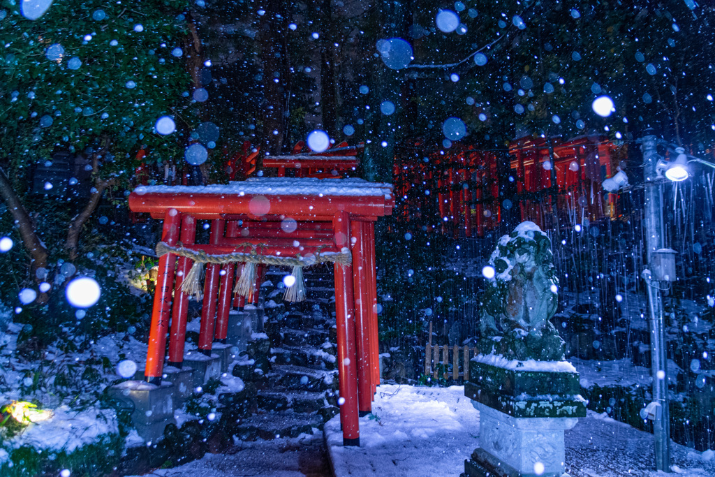大晦日の一枚 By ごんザレス (id:11270618) 写真共有サイトphotohito