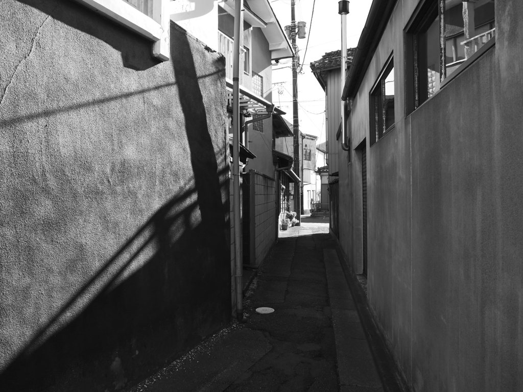 2025.12.28 by ろくなもんじゃねえ （ID：13308342） - 写真共有サイト:PHOTOHITO