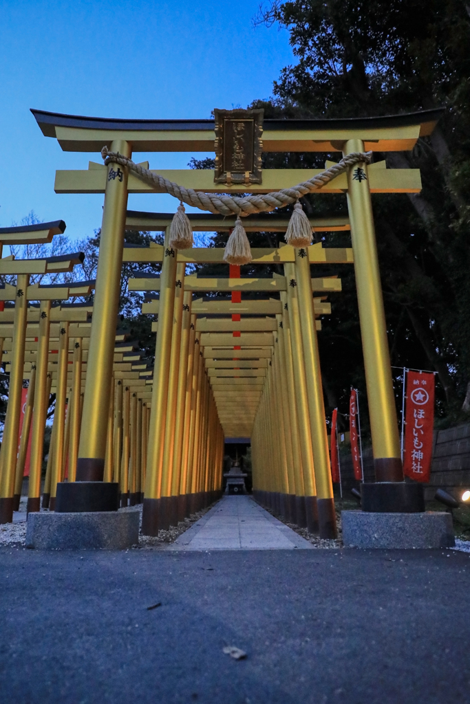 欲しいものが手に入るだとさ By Ken Boo (id:12066831) 写真共有サイトphotohito
