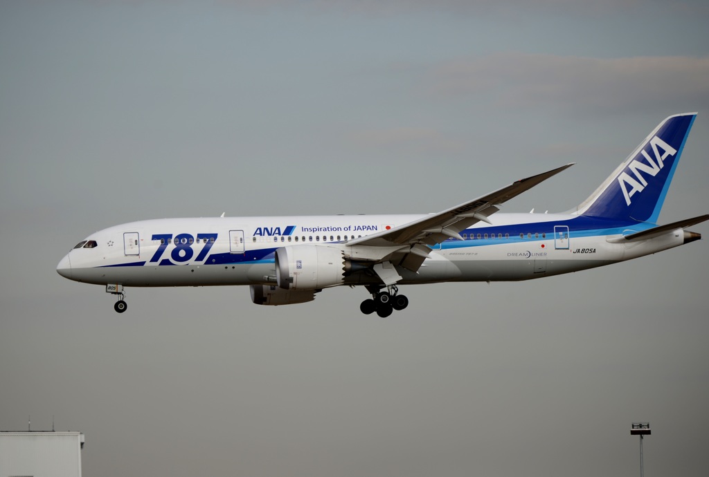 ANA 787-8 着陸 by x191300cc （ID：4271493） - 写真共有サイト:PHOTOHITO