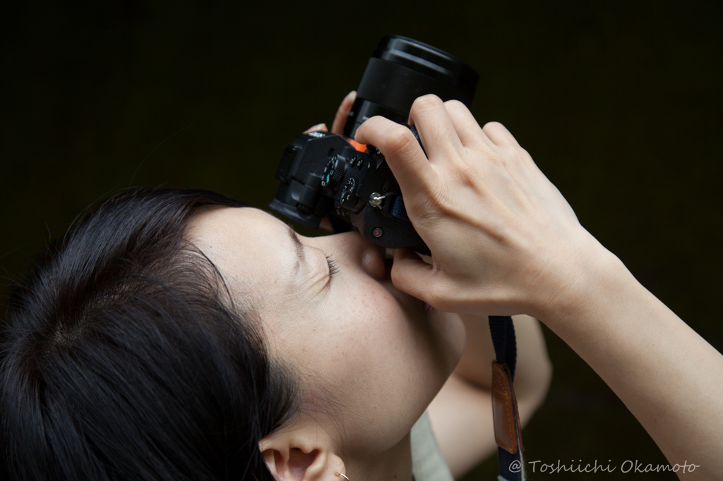 M s Eye By T okamoto ID 5752844 PHOTOHITO
