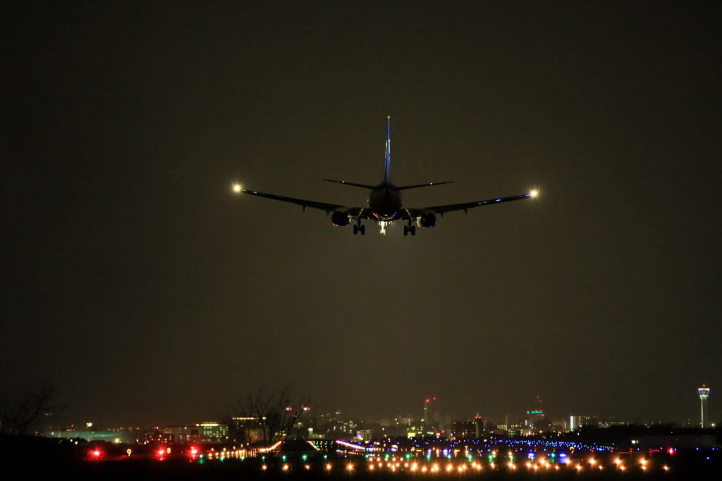 night landing 737 by makorige （ID：6447452） - 写真共有サイト:PHOTOHITO