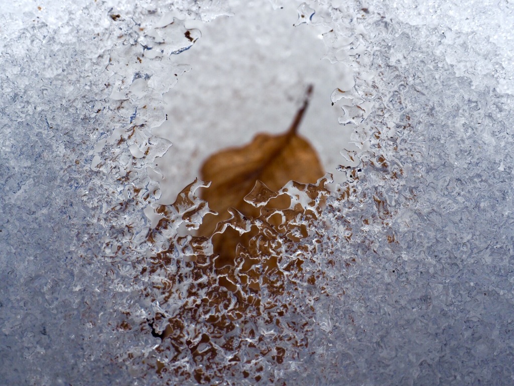 氷の中 By Nejimaki (id:6493169) 写真共有サイト Photohito